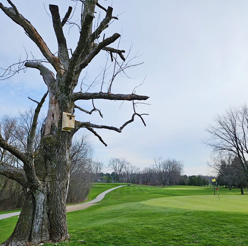 Sustainable Golf - Westview Golf Club